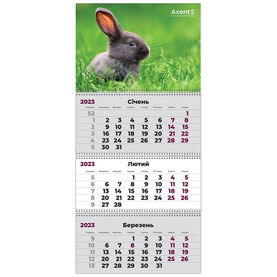 Календар настінний квартальний на 2023 рік 63х29 7 см 3 пружини Кролик 8803 23 01 A Axent